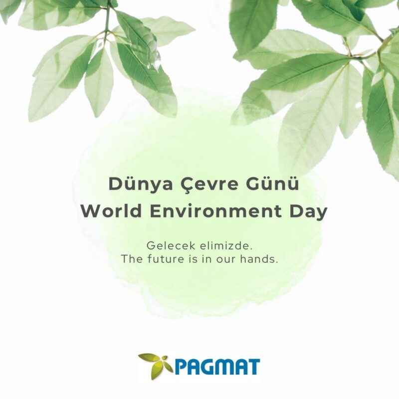 World Environment Day - Pagmat.com